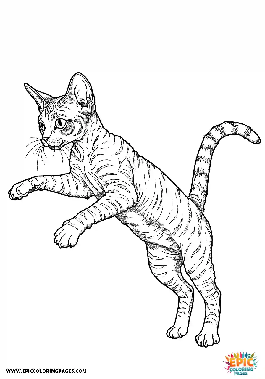 Devon Rex Cat Coloring Pages [487+ Free Printables] | Epic
